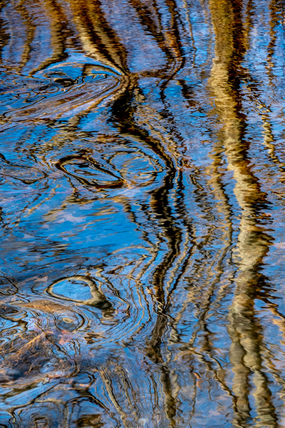 fort river reflections – THE AMHERST CURRENT