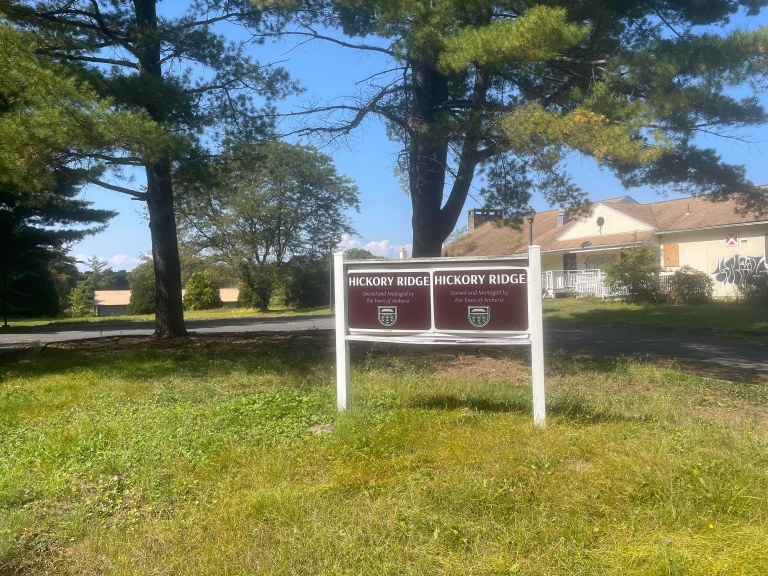 “Gratitude – Success – Optimism”– Town Manager Delivers 2024 State of ...