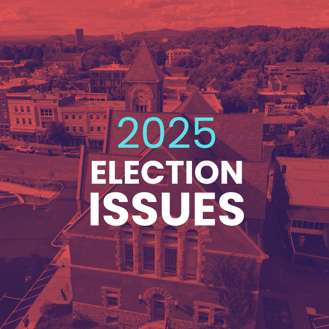 2025 Election Issues: Our View – THE AMHERST CURRENT